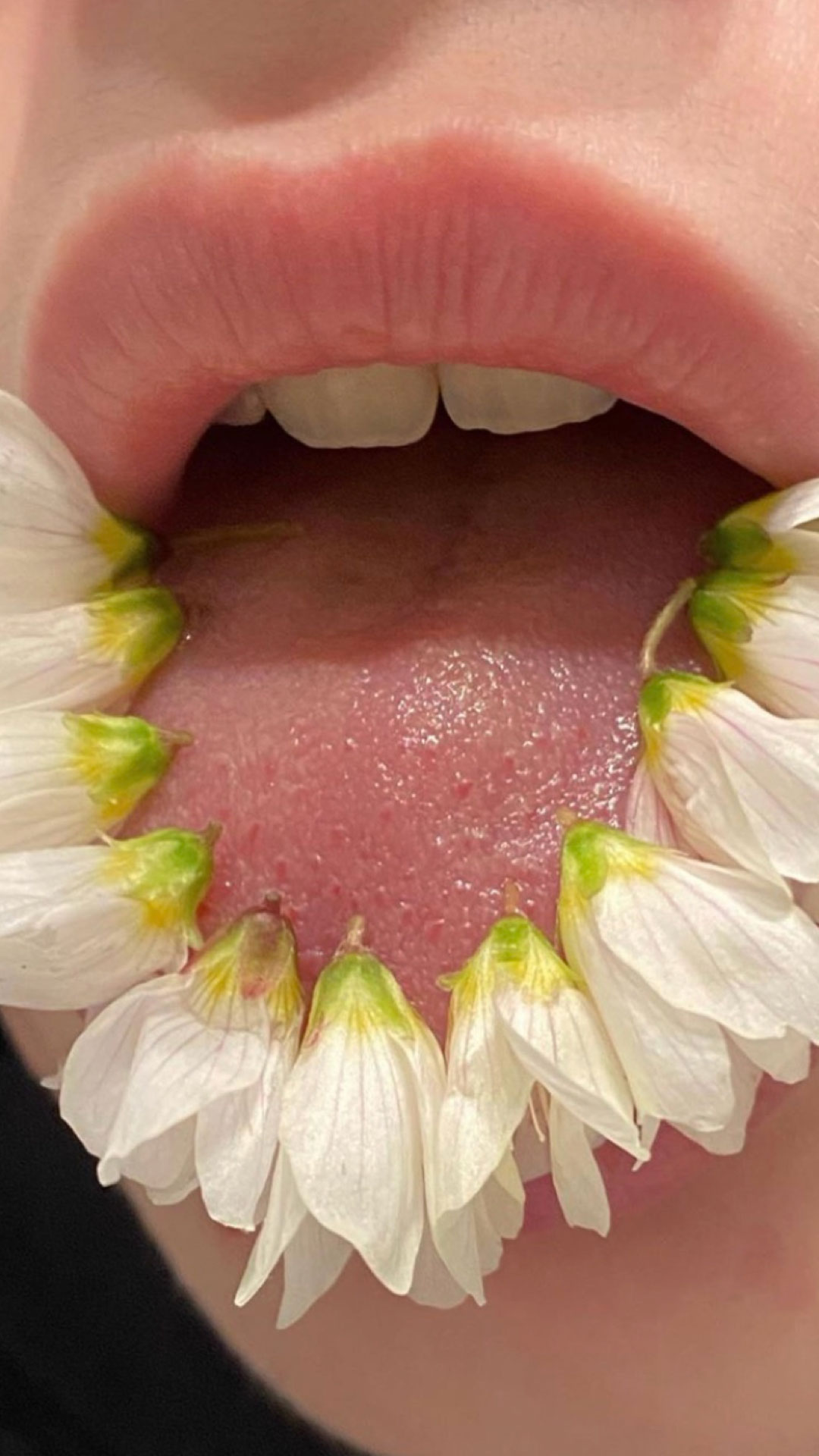 JAG Models - Model & Talent Agency